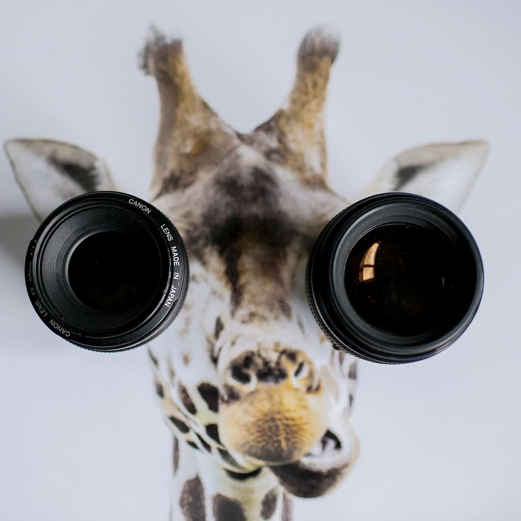 Cognitive Distortions: Unhelpful Thinking Habits and How To Change Your ...